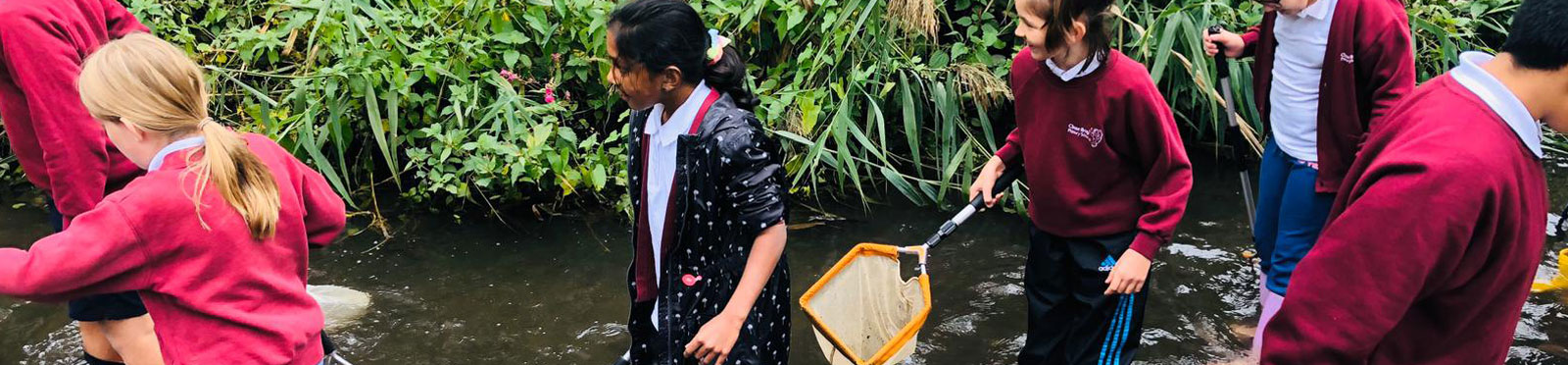 Year 6 | Chase Bridge Primary